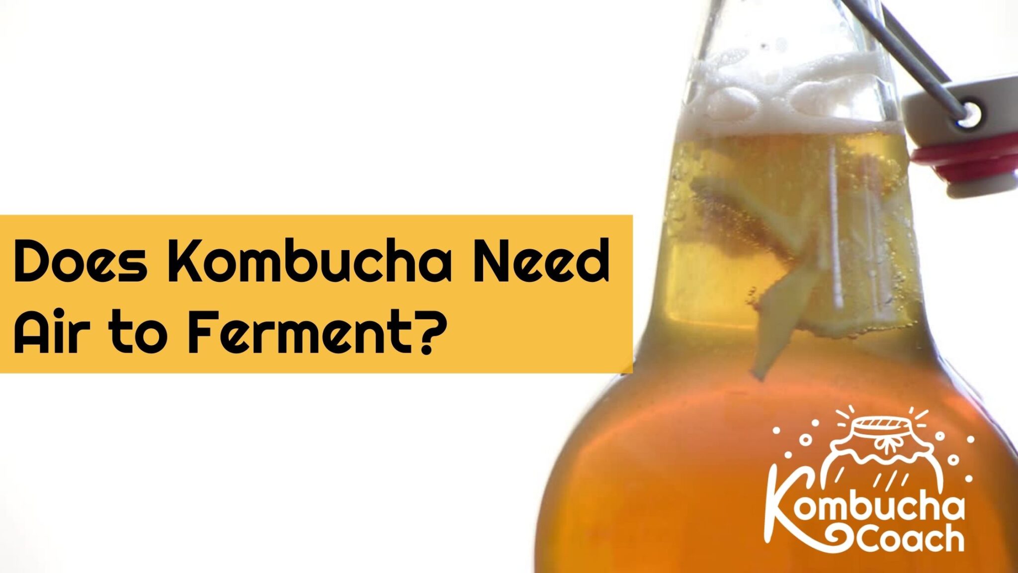 Does Kombucha Need Air and Oxygen to Ferment?