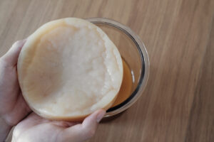So, What is a SCOBY Anyways? All Your Questions Answered